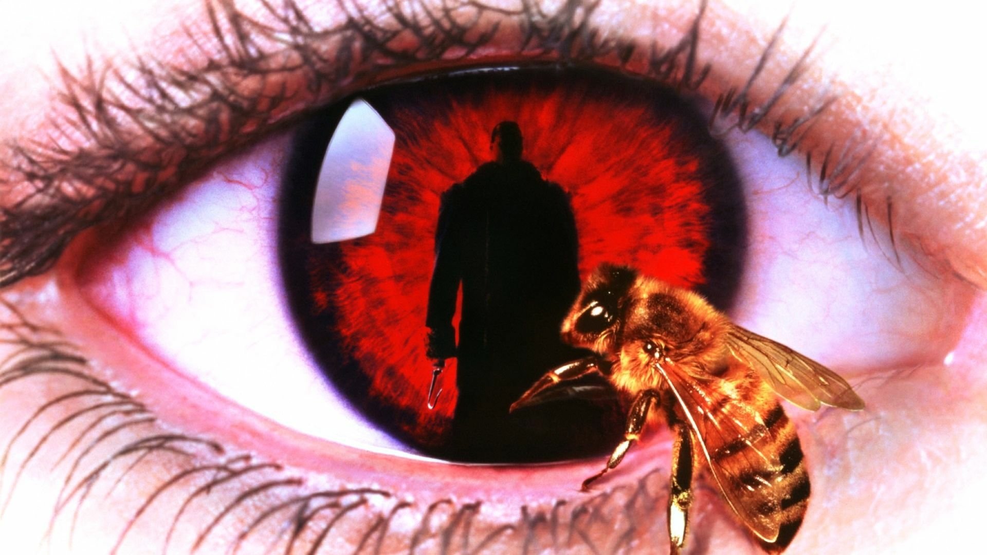 1 Candyman 1992 Fonds D cran HD Arri re Plans Wallpaper Abyss