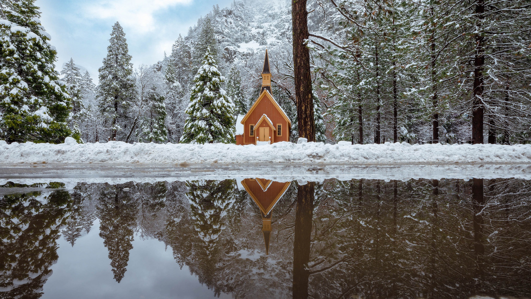Download Tree Forest Reflection Winter Nature Religious Church HD Wallpaper