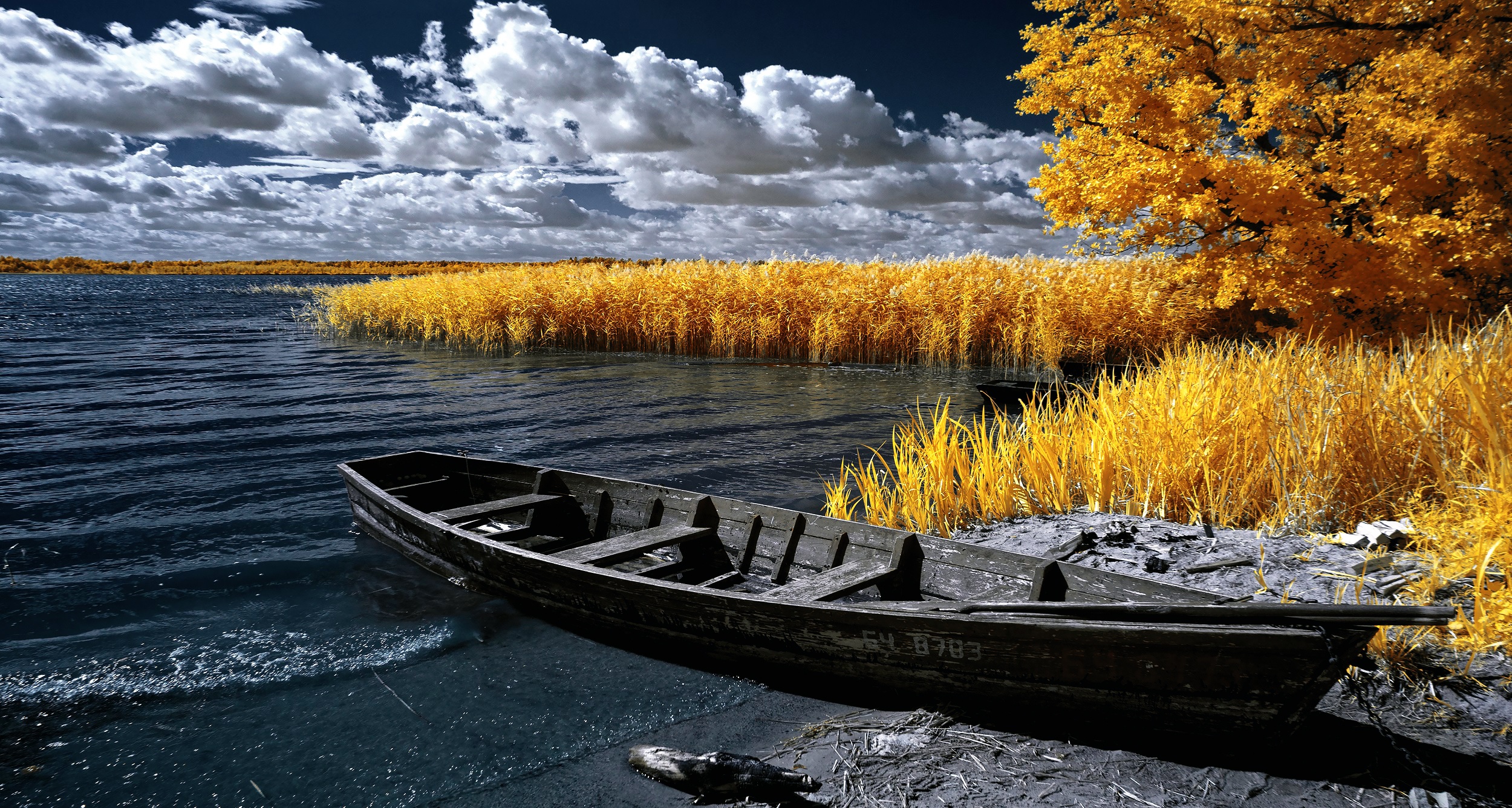 Download Fall Plant Cloud Lake Vehicle Boat HD Wallpaper