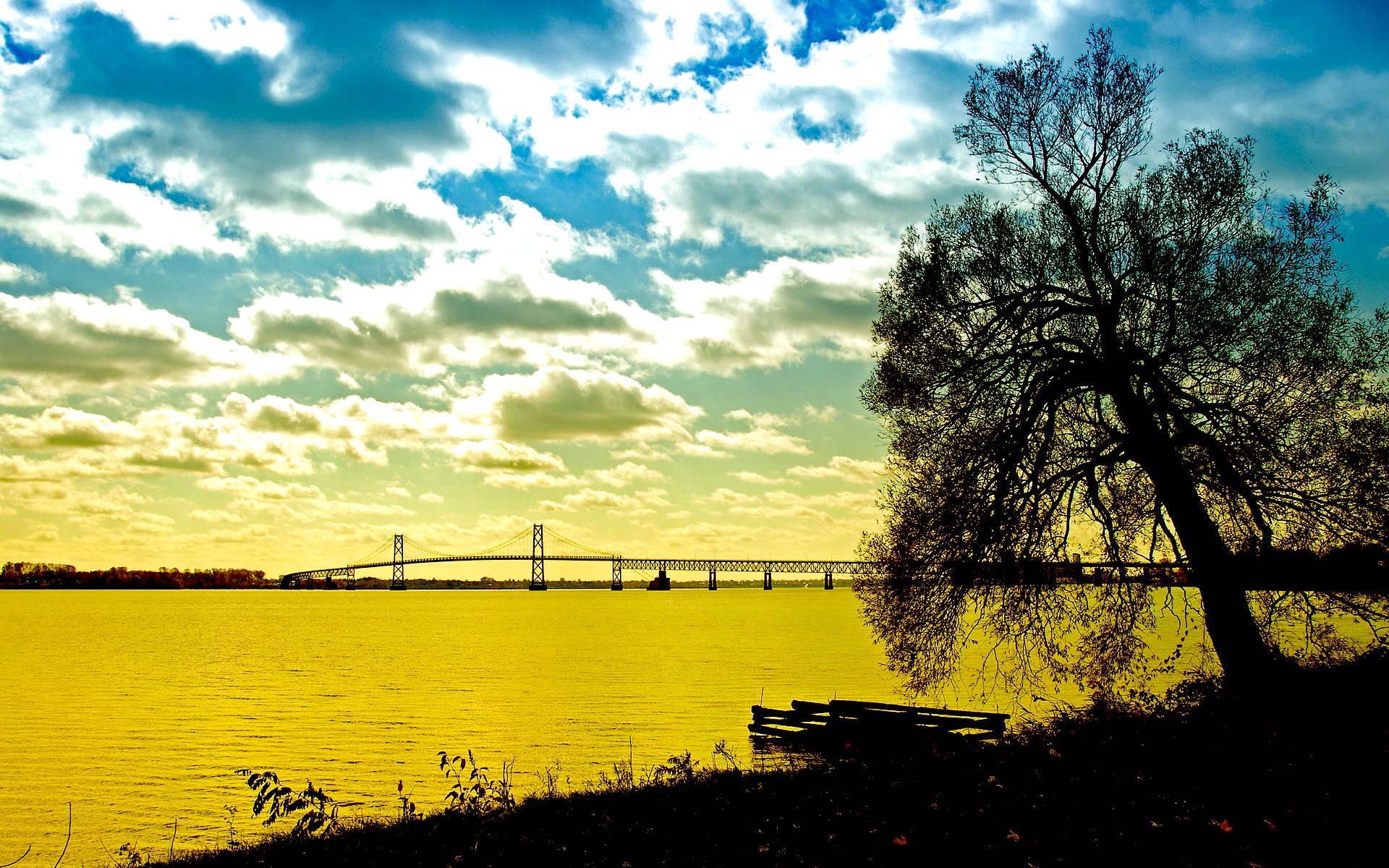 Golden Gate Sunset: Tranquil River Trees in HD Nature Wallpaper ...