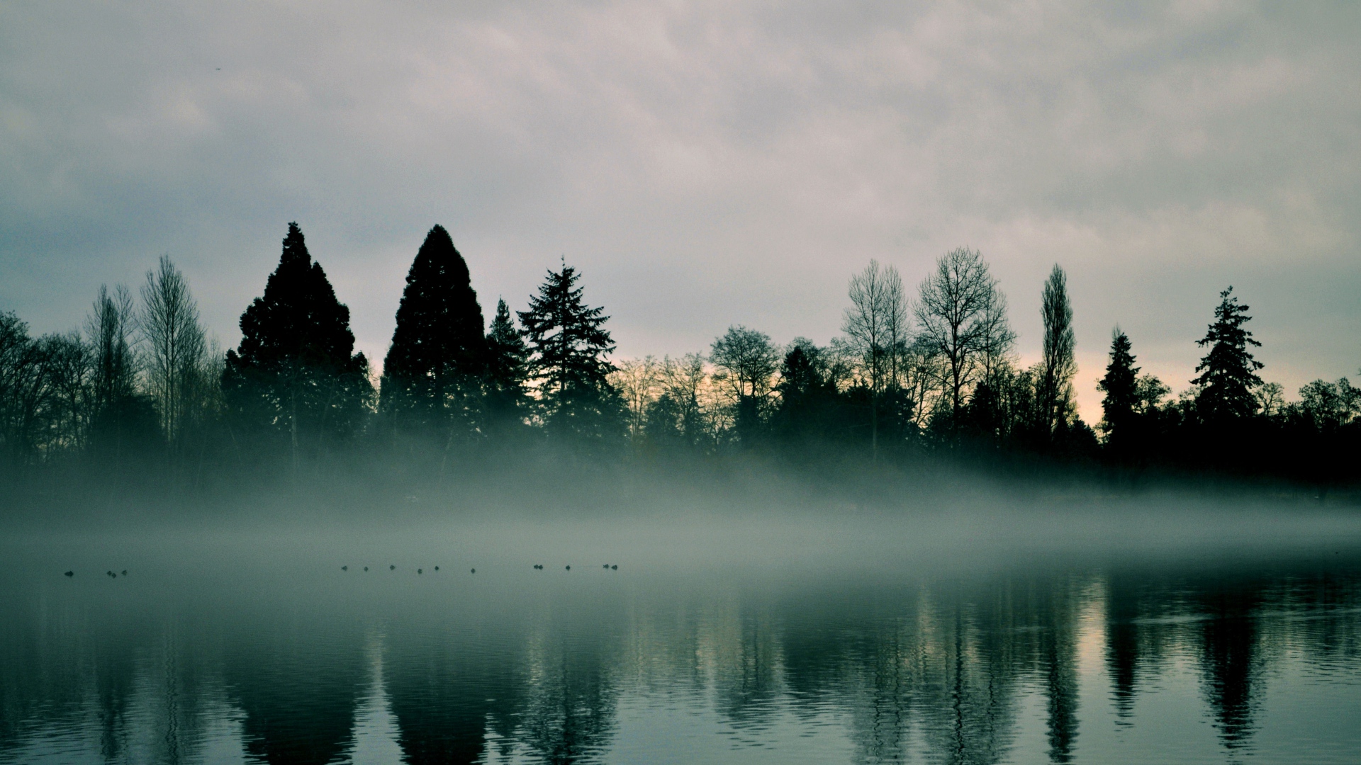 Hd Wallpapers Fog Water Royalty Free Photo: Gray Scale Body Of Water