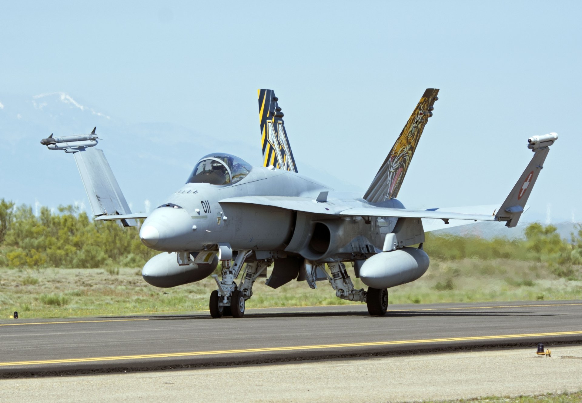 F/A-18 Hornet — McDonnell Douglas Jet Fighter (4K Ultra HD Wallpaper)