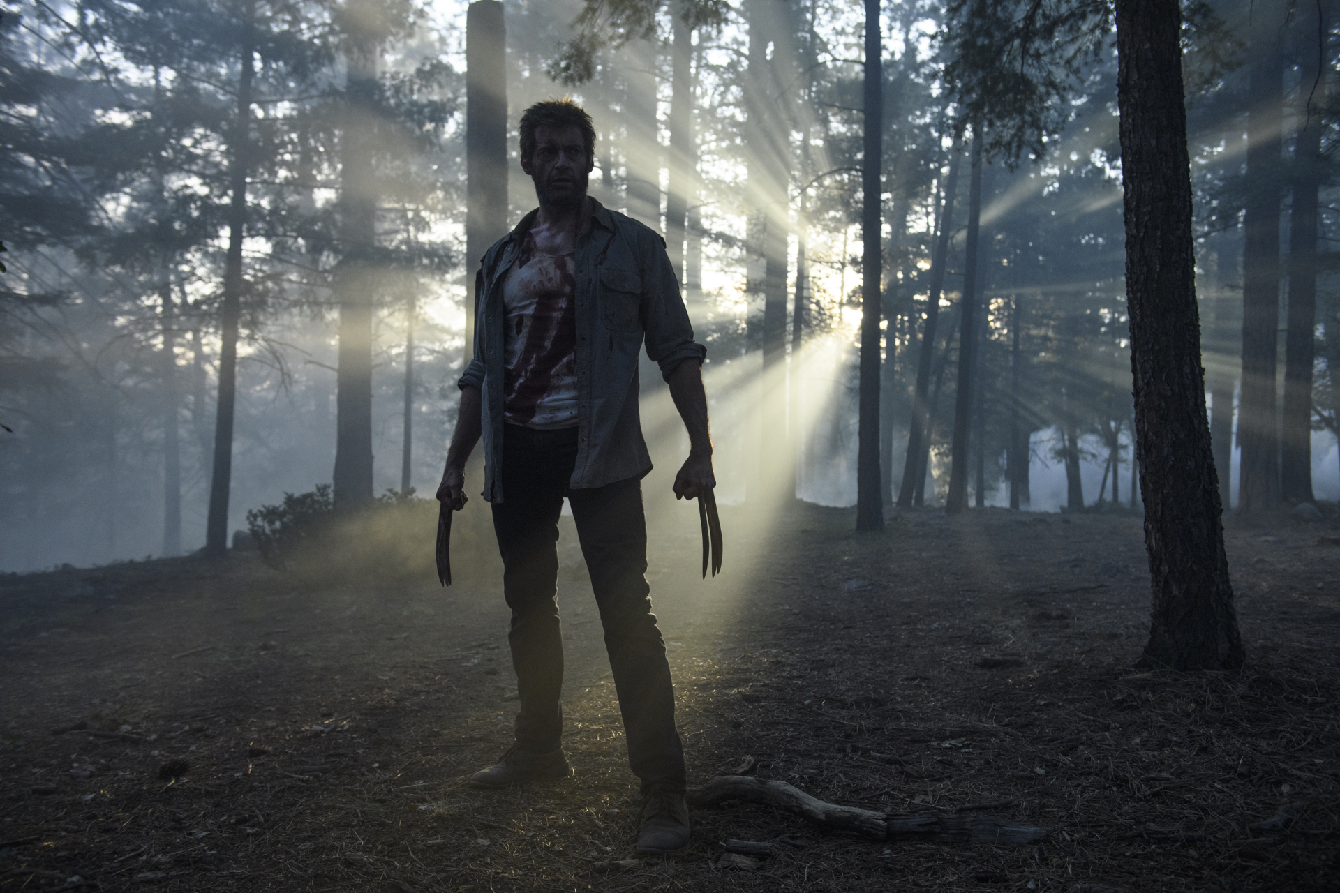 Wolverine HD Wallpaper from Logan Movie