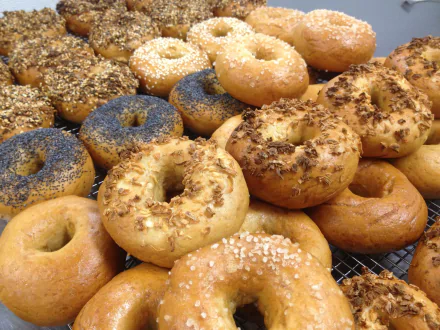 Bagel - Desktop Wallpapers, Phone Wallpaper, PFP, Gifs, and More!