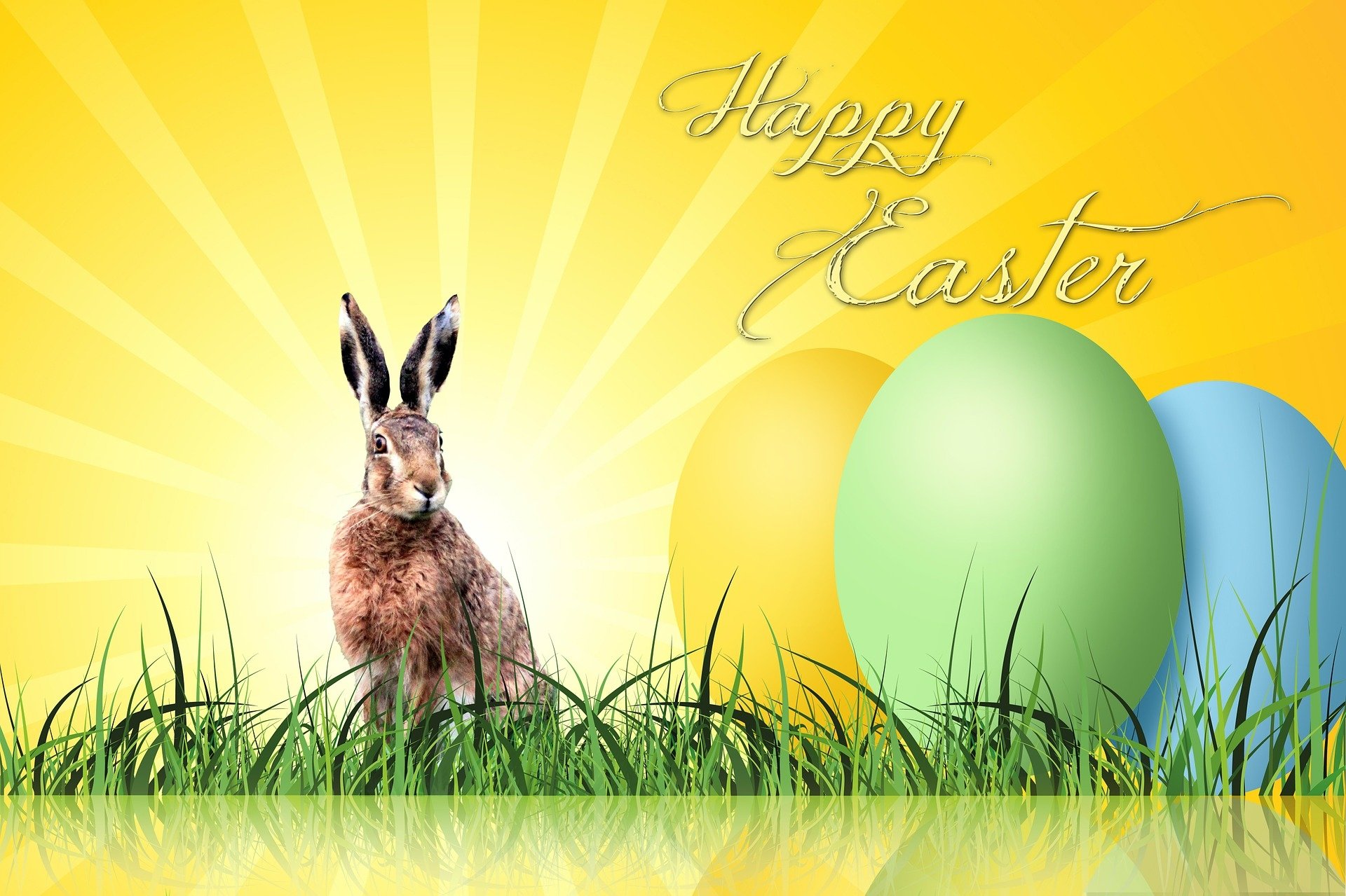 Happy Easter HD: Bright Holiday Bunny and Colorful Eggs Wallpaper