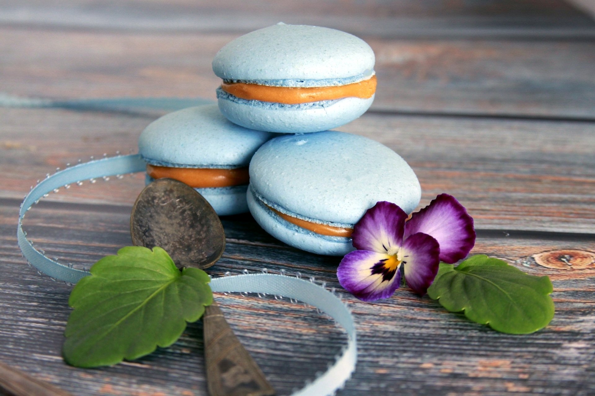 Elegant Macaron Delight: HD Still Life of Sweets and Beauty