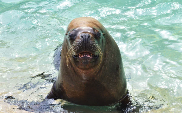 [40+] Zoo 4k Wallpapers