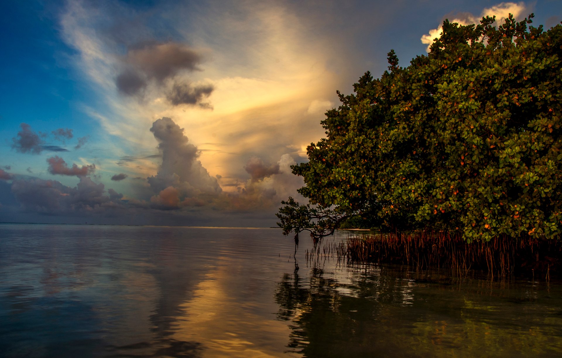 Serene Bay Horizon: Ocean Calm Meets Coastal Greenery HD Wallpaper ...