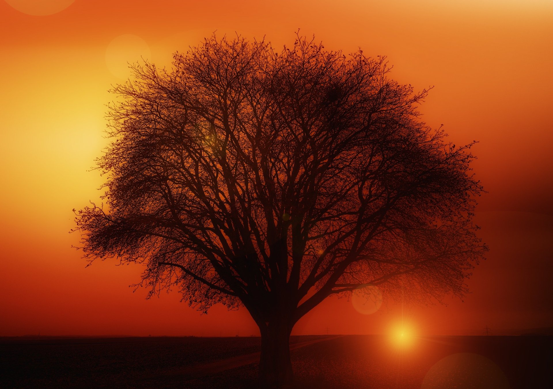 Download Orange (Color) Silhouette Road Tree Sun Nature Sunset HD Wallpaper