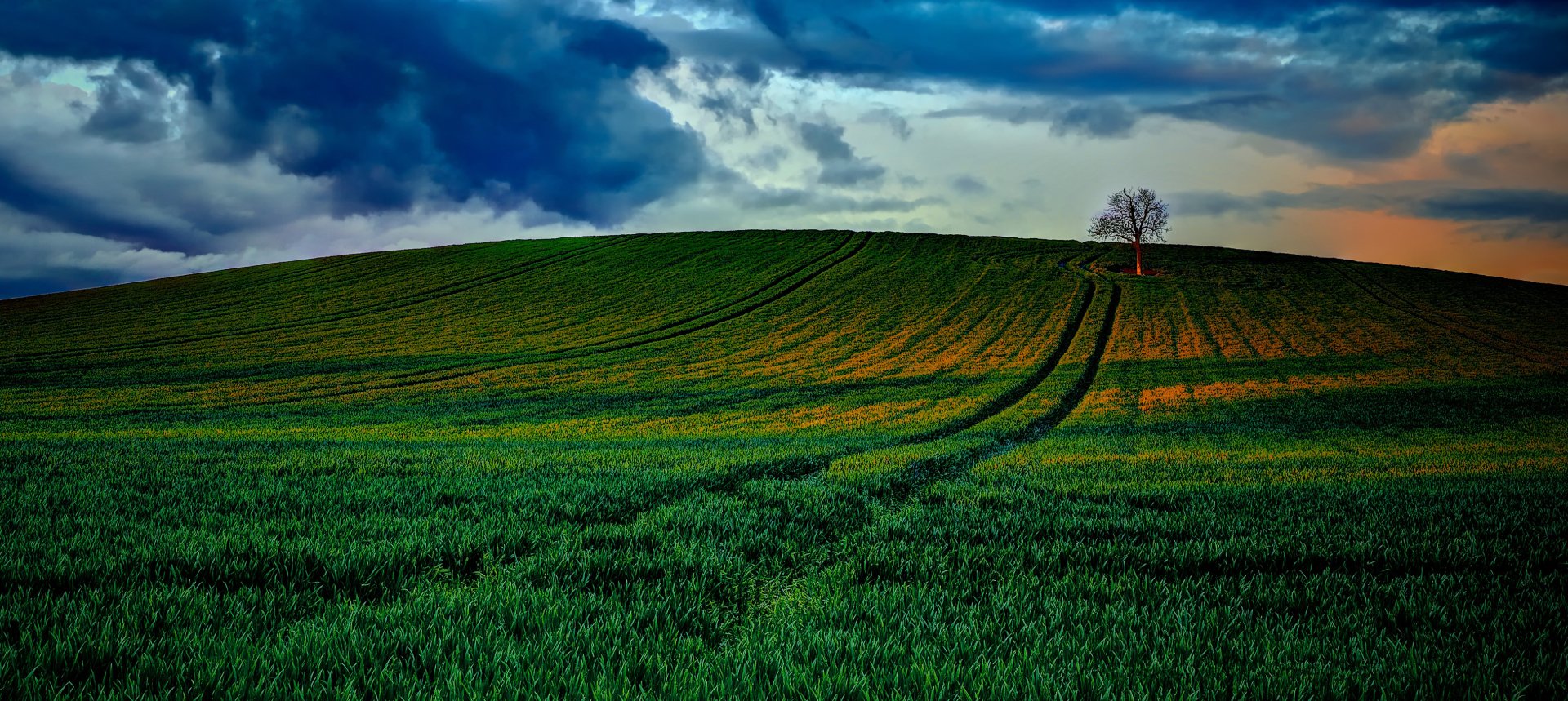 Download Cloud Tree Spring Green Nature Field HD Wallpaper