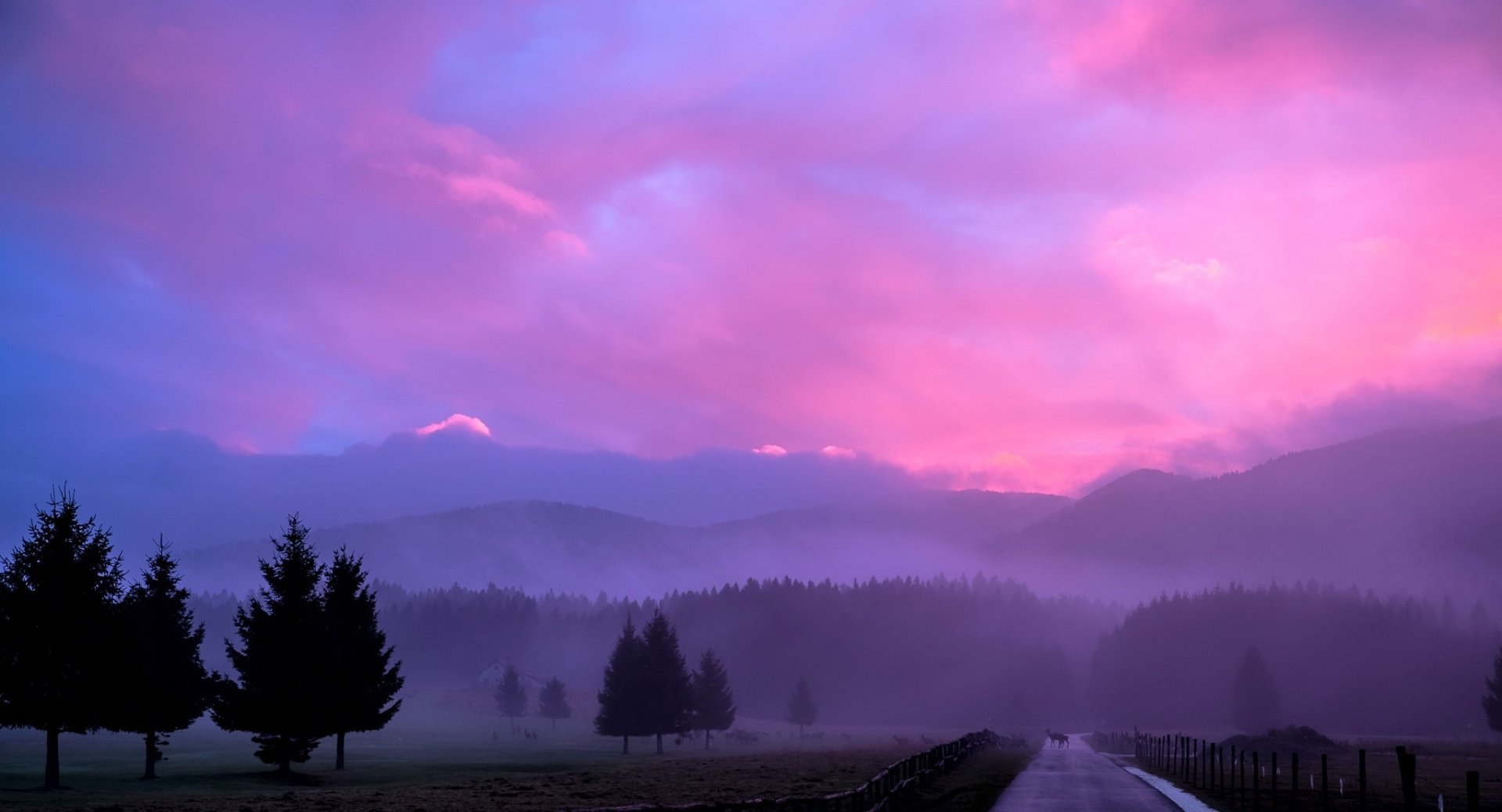 Download Road Tree Fog Cloud Pink Sky Photography Sunset HD Wallpaper