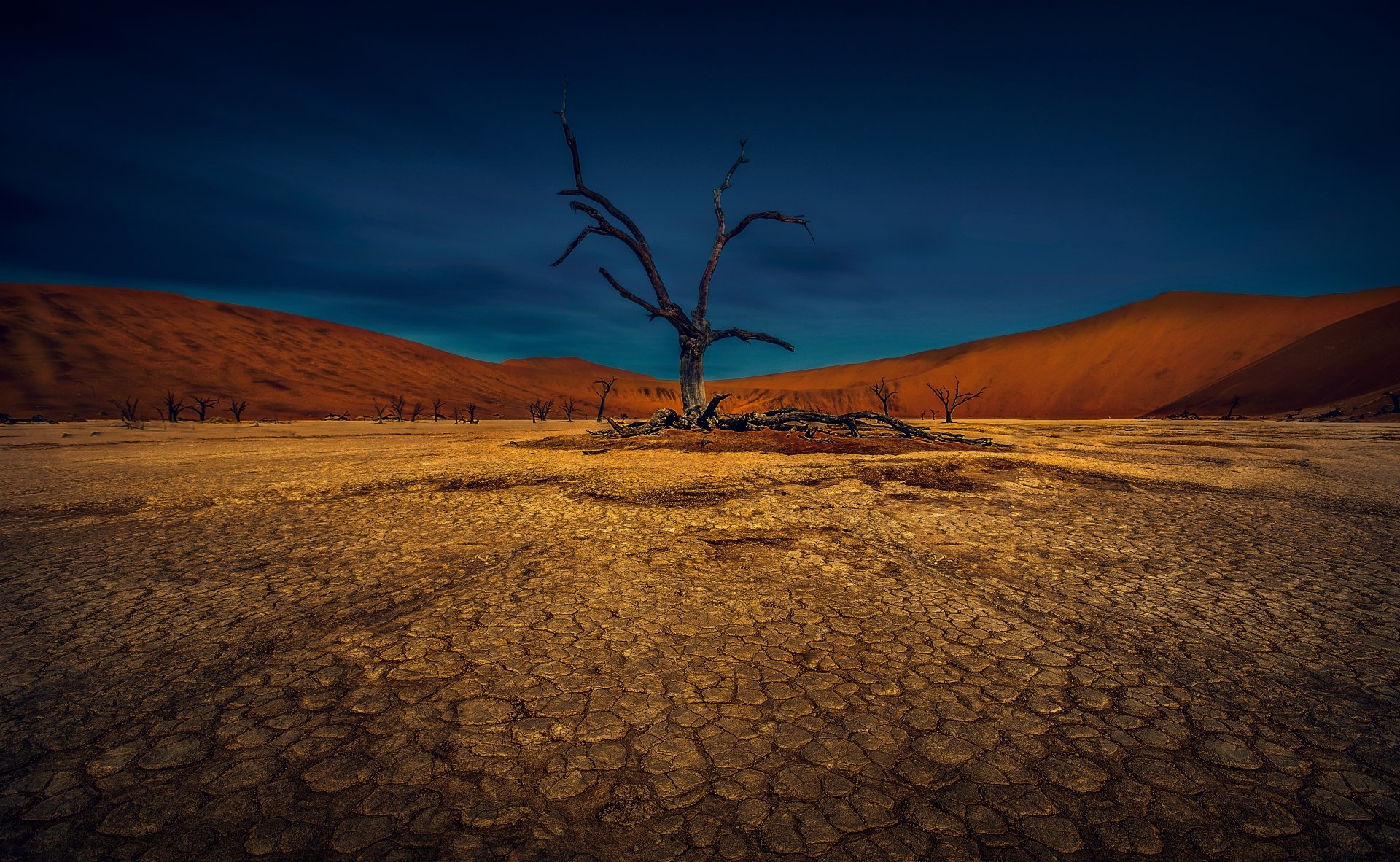 Download Sand Sand Dune Nature Naked Tree Desert 4k Ultra HD Wallpaper
