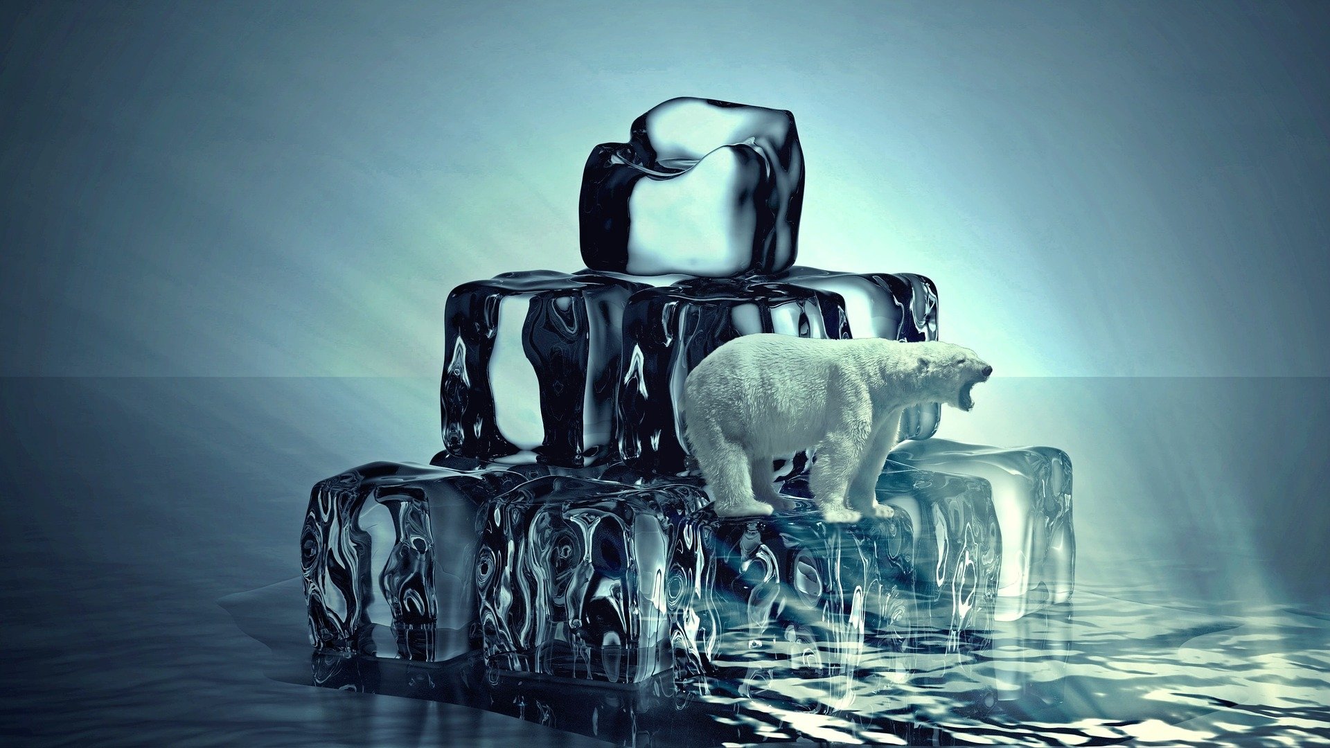 Download Polar Bear Ice Cube Fantasy Animal Fantasy Animal HD Wallpaper