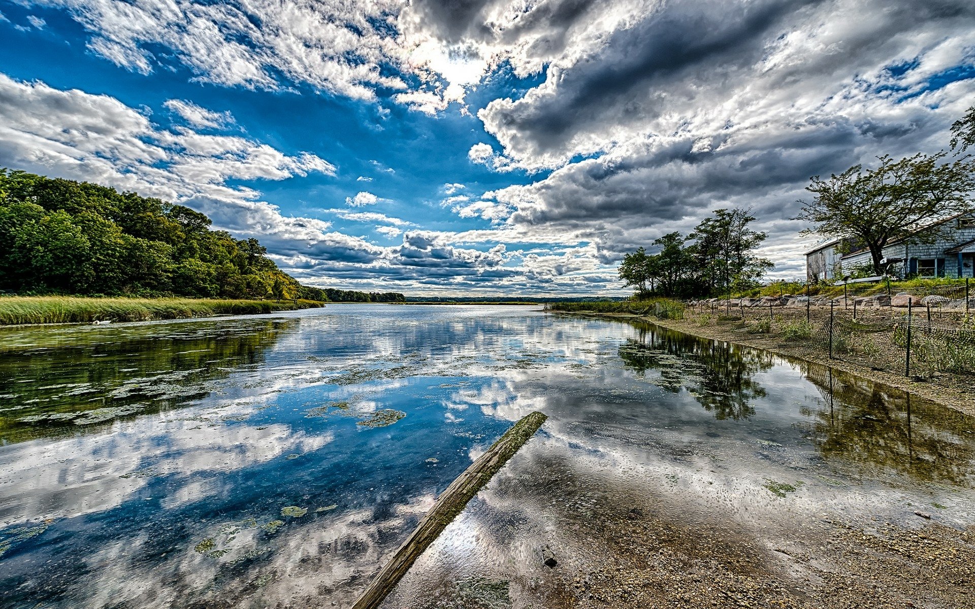 Download Tree Cloud Sky HDR Reflection Nature Lake HD Wallpaper