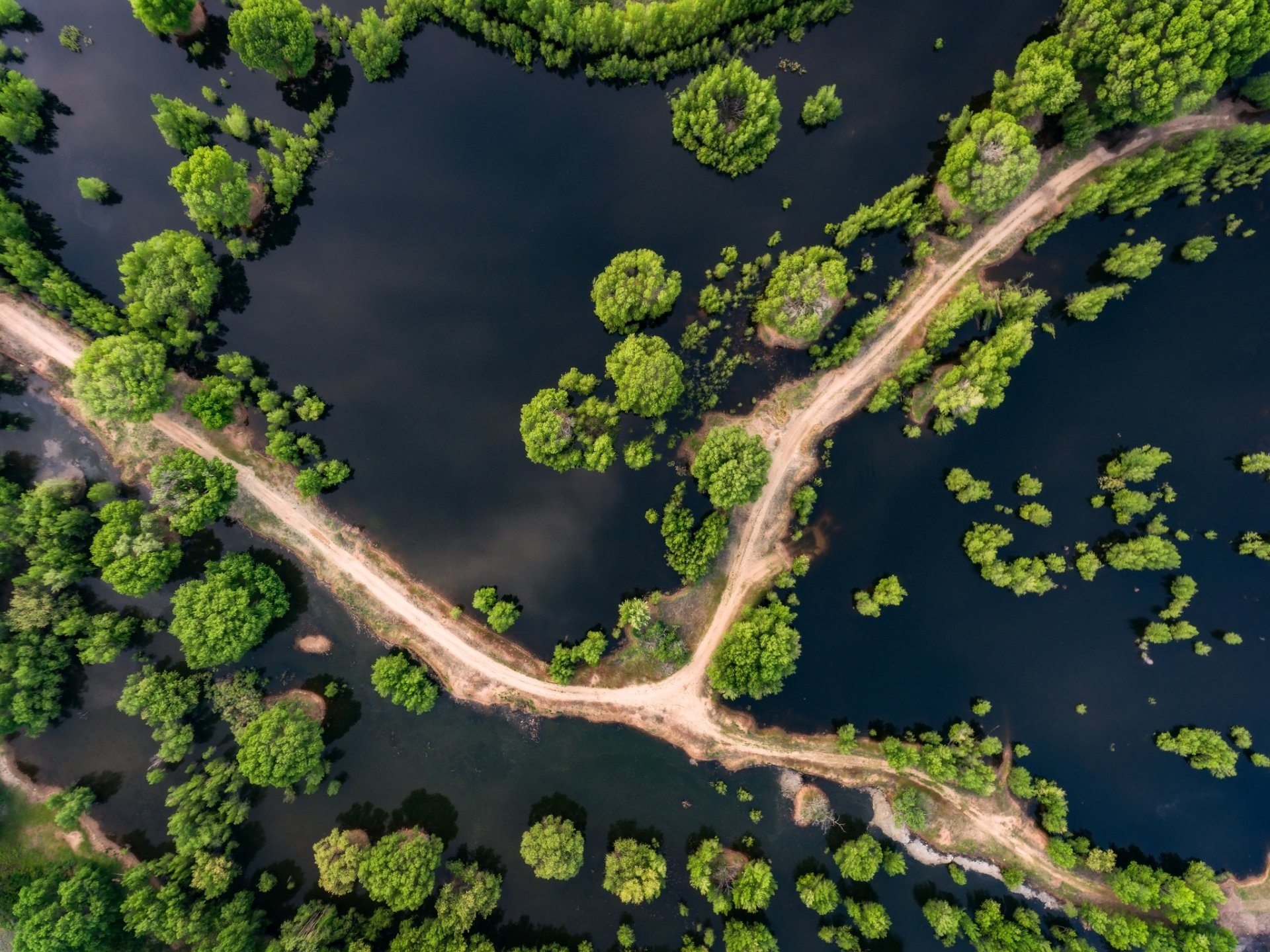 Swamp Crossing: Aerial Dirt Road Through Trees (HD Wallpaper ...