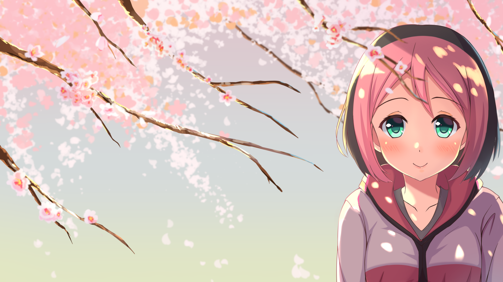 Osu! Anime Vibes HD Wallpaper: Cherry Blossom Rhythm