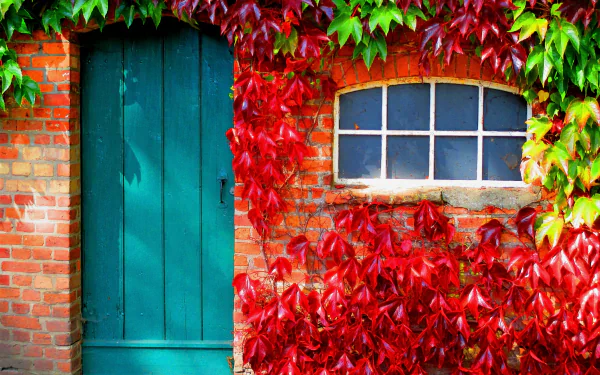 Spring Garden Courtyard HD Wallpaper