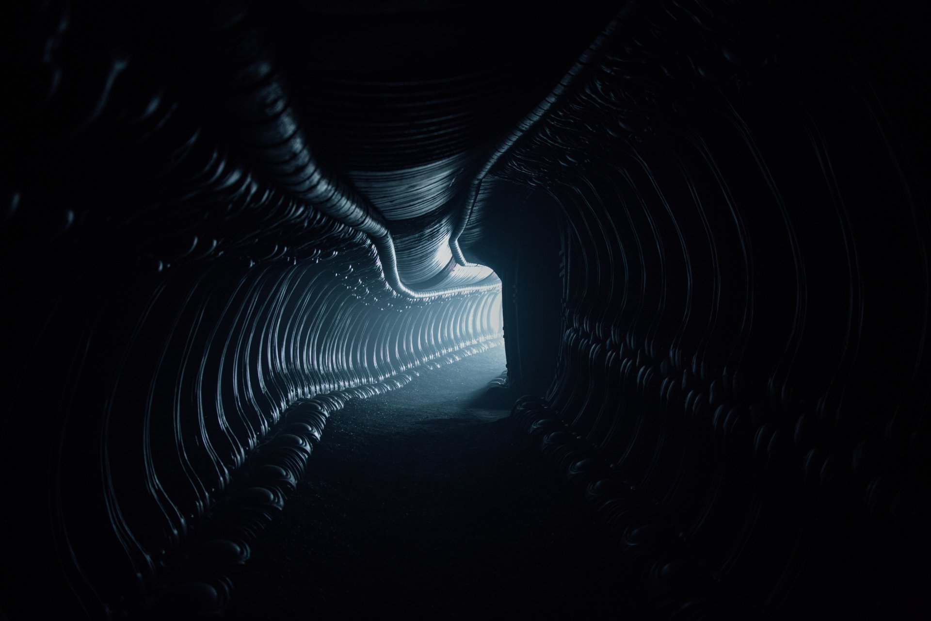 Download Movie Alien: Covenant 4k Ultra HD Wallpaper