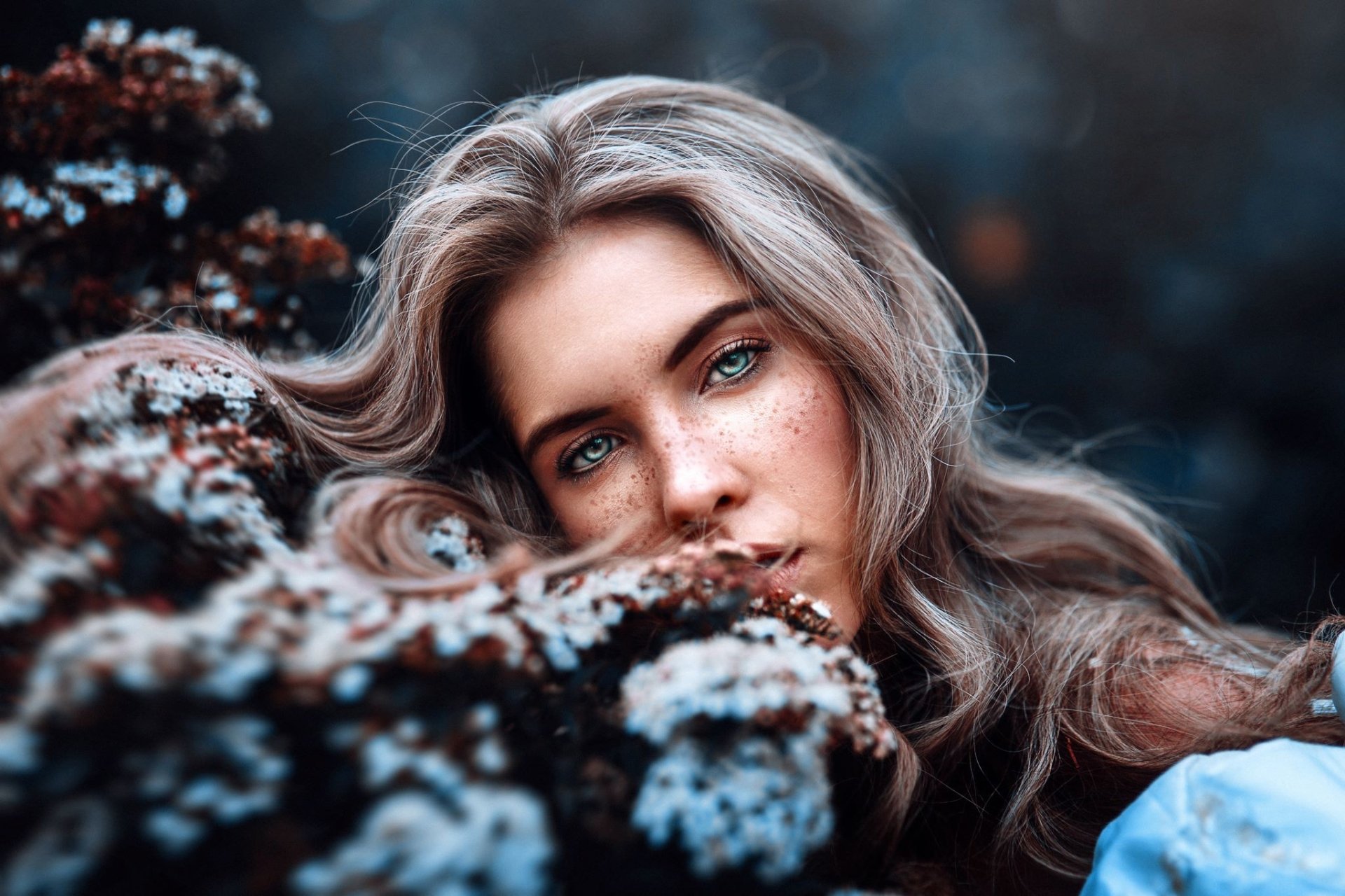 Women Face HD Wallpaper by Ronny Garcia