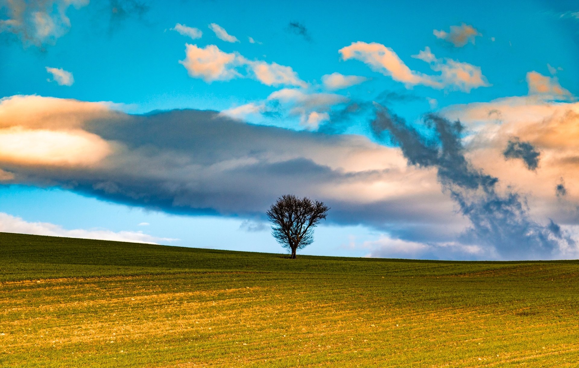 Solitary Tree on a Cloud-Kissed Field (HD Wallpaper) | 2048x1305 ...