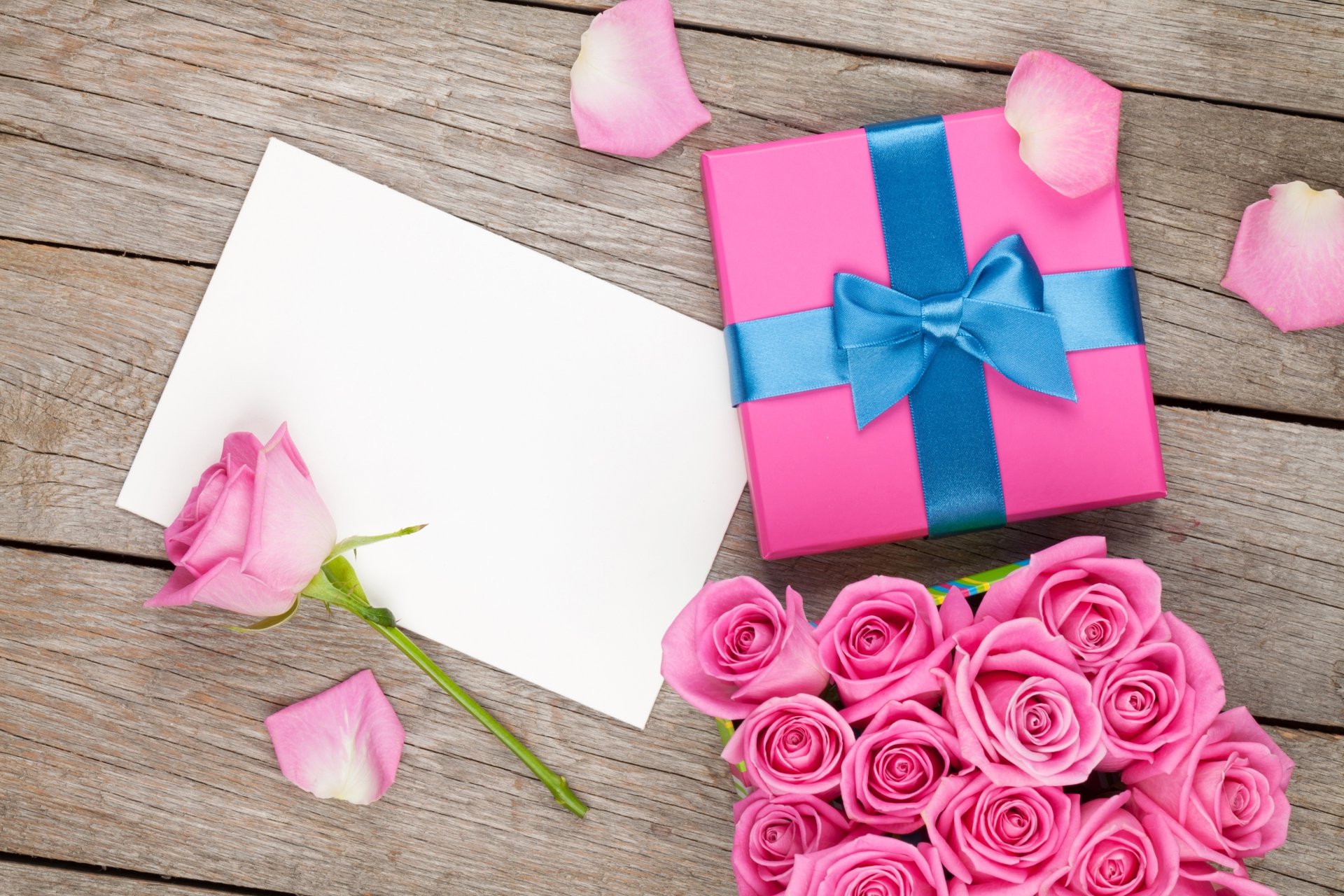 Elegant Pink Rose Gift – 4K Ultra HD Floral Delight | 5616x3744 ...