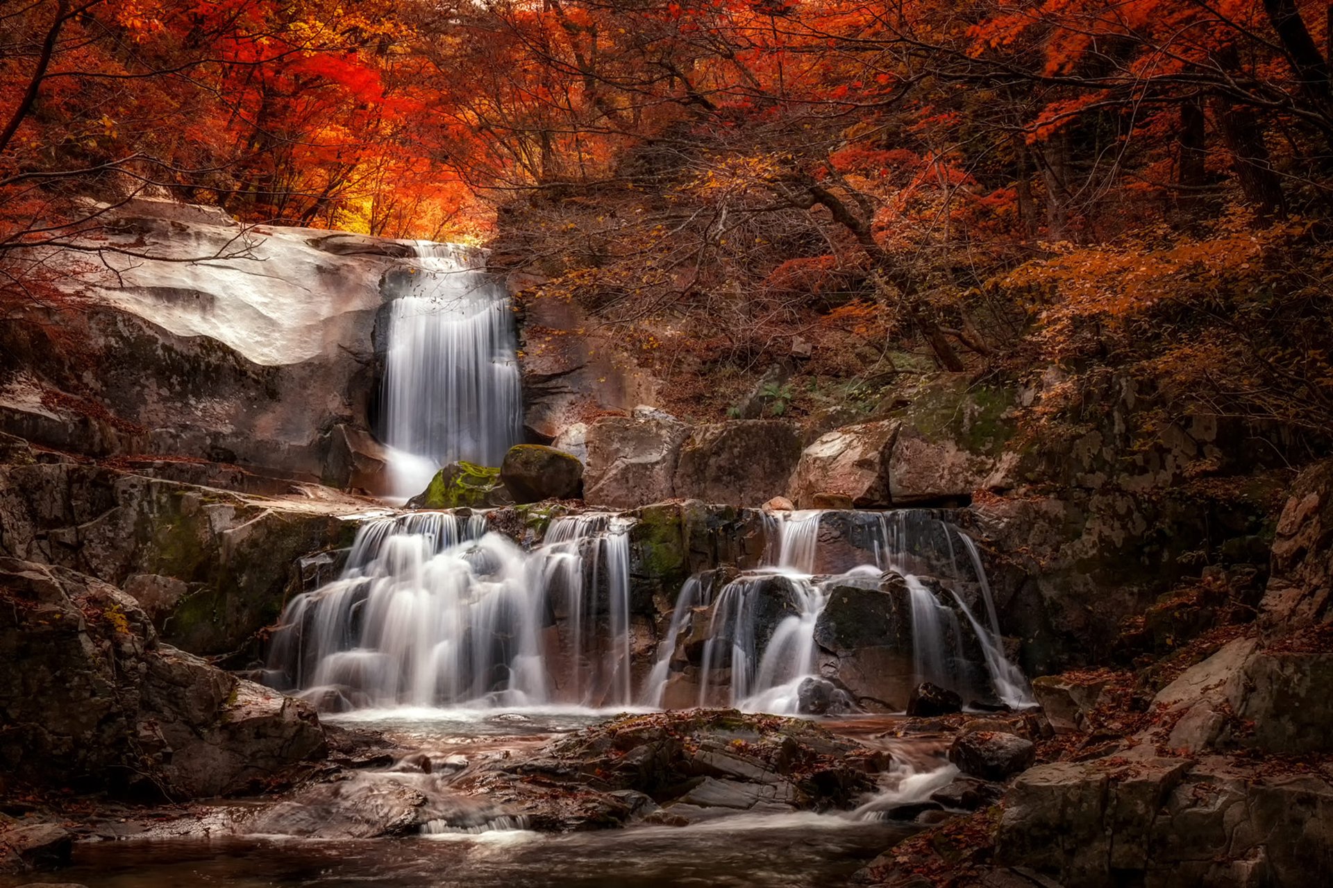 Download Forest Fall Nature Waterfall HD Wallpaper
