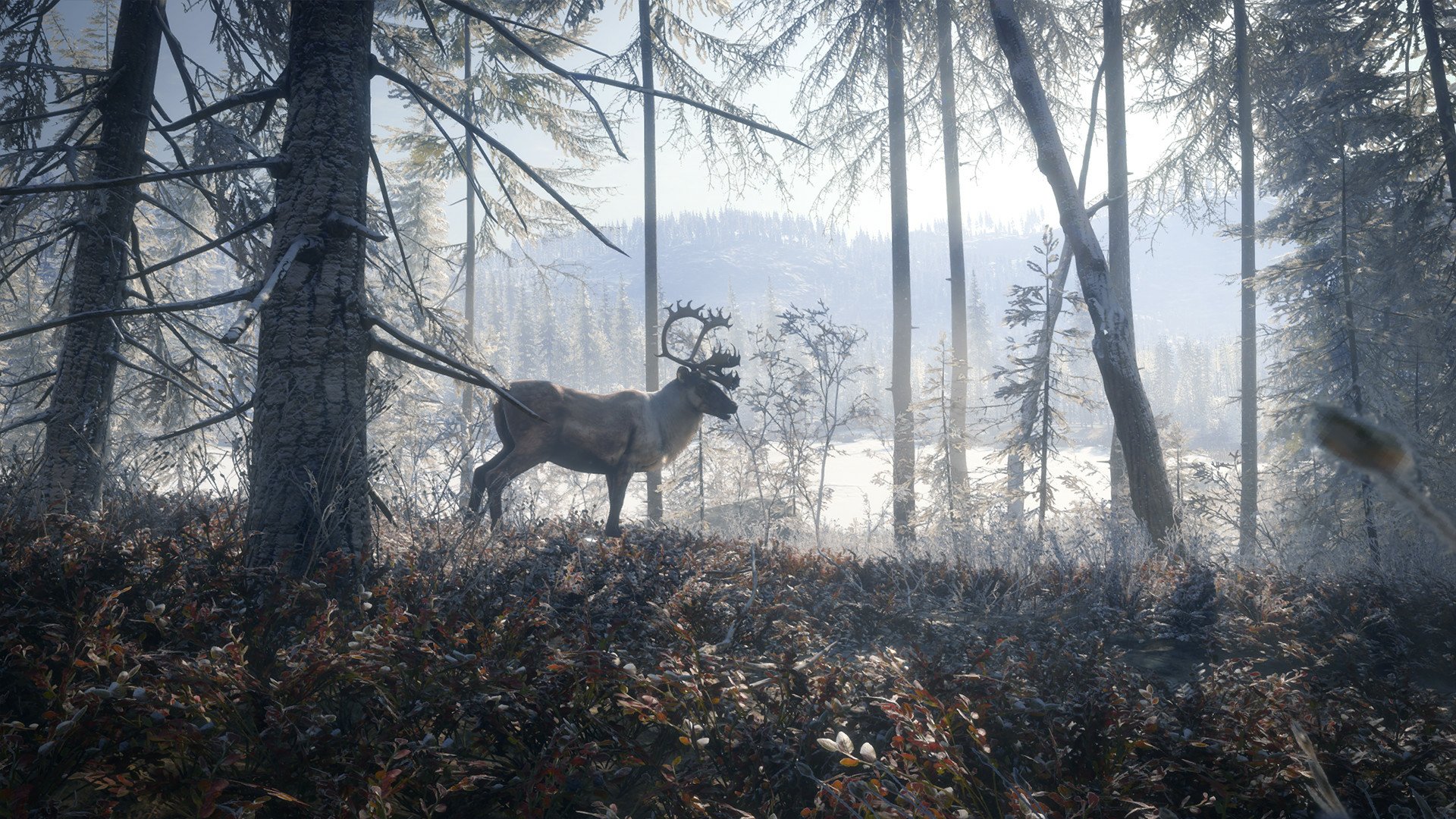 TheHunter: Call Of The Wild - Desktop Wallpapers, Phone Wallpaper, PFP ...