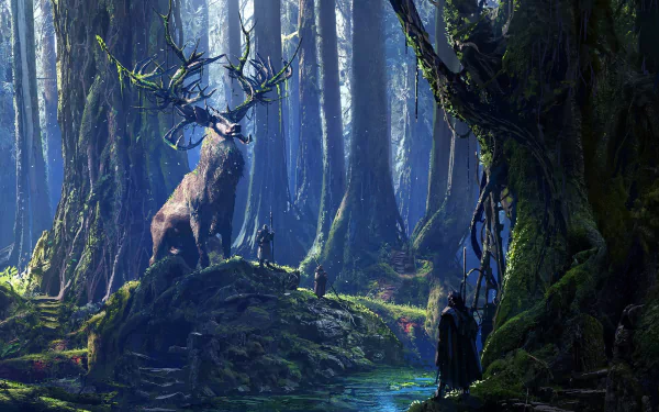 [10+] Druid Wallpapers