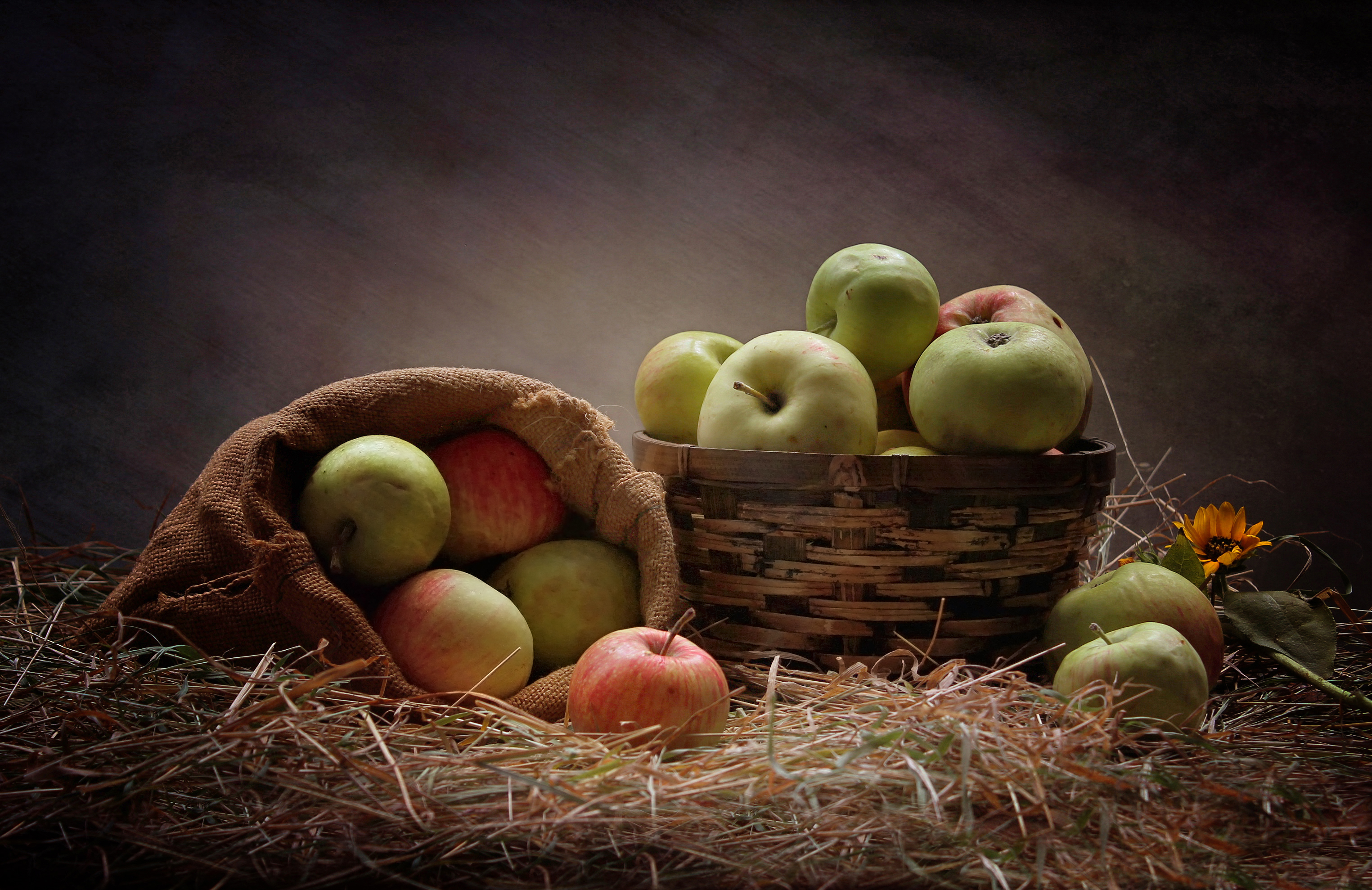 Download Still Life Fruit Food Apple HD Wallpaper