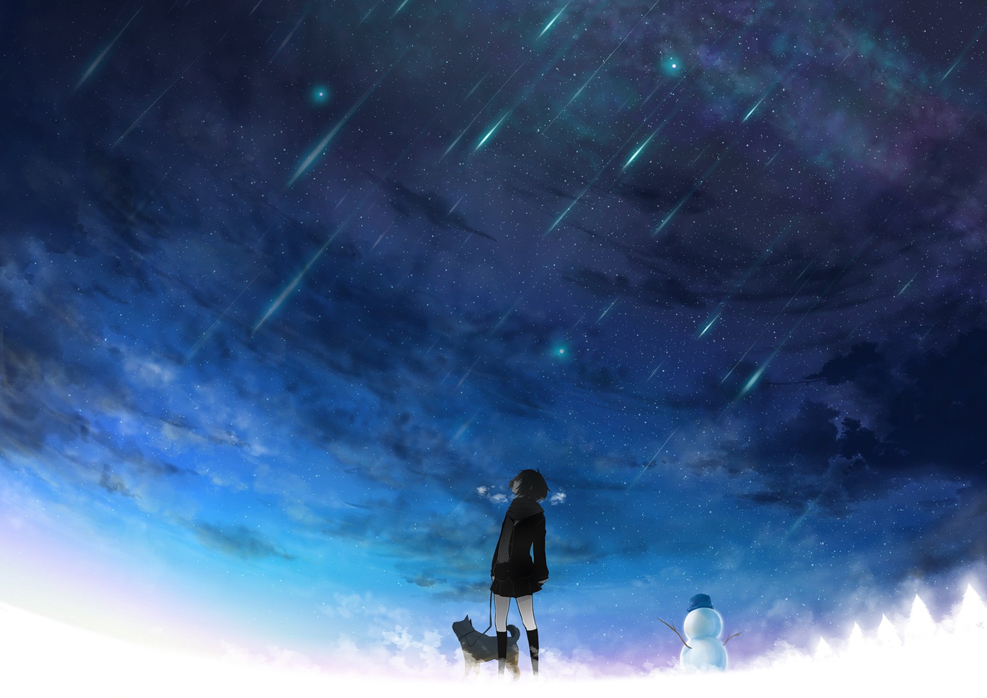 Winter Meteor Sky HD Wallpaper by ときち