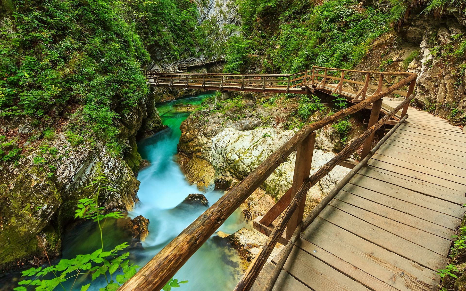 Download Tree Canyon River Wooden Man Made Bridge HD Wallpaper