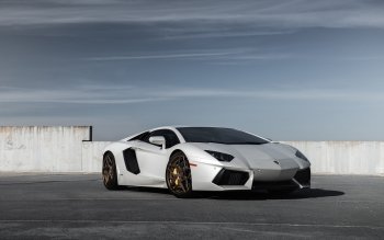 Lamborghini Aventador Pfp