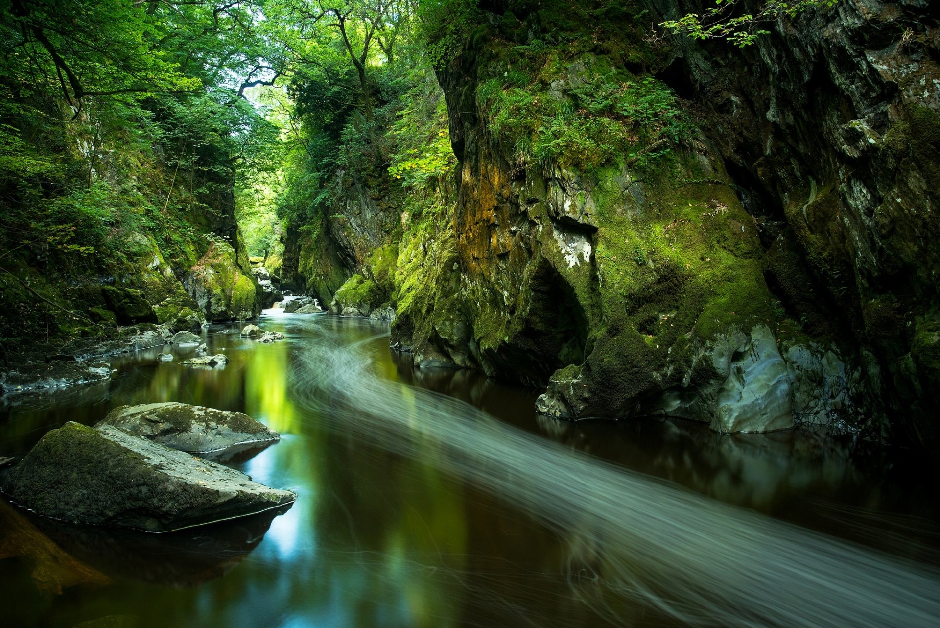 Download Greenery Nature River HD Wallpaper