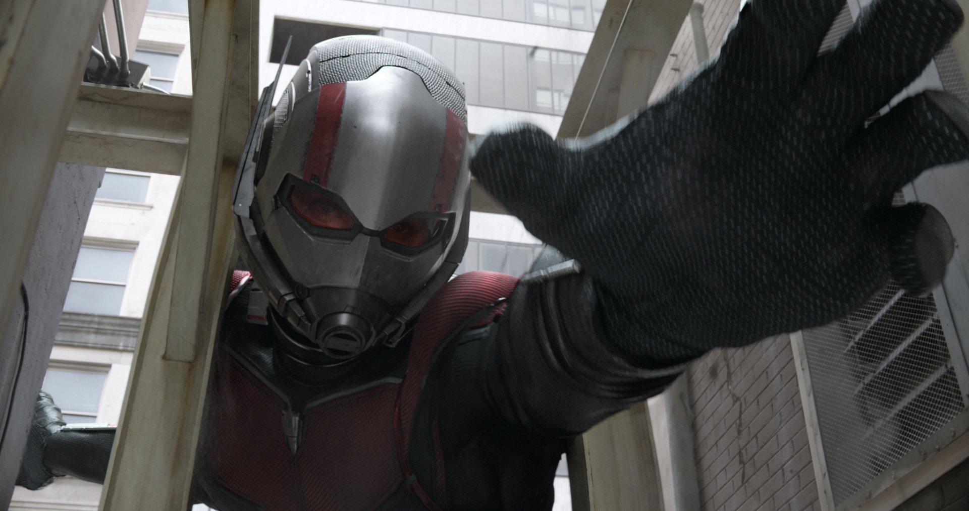 Download Paul Rudd Ant-Man Movie Ant-Man And The Wasp HD Wallpaper