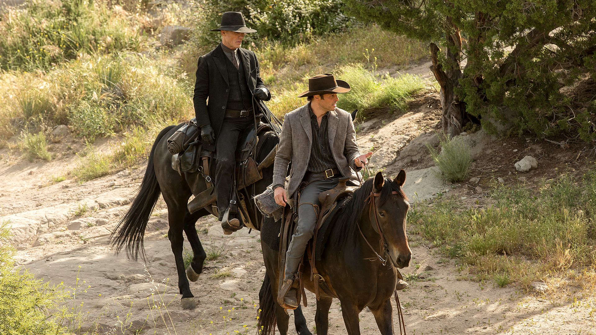 Download TV Show Westworld HD Wallpaper