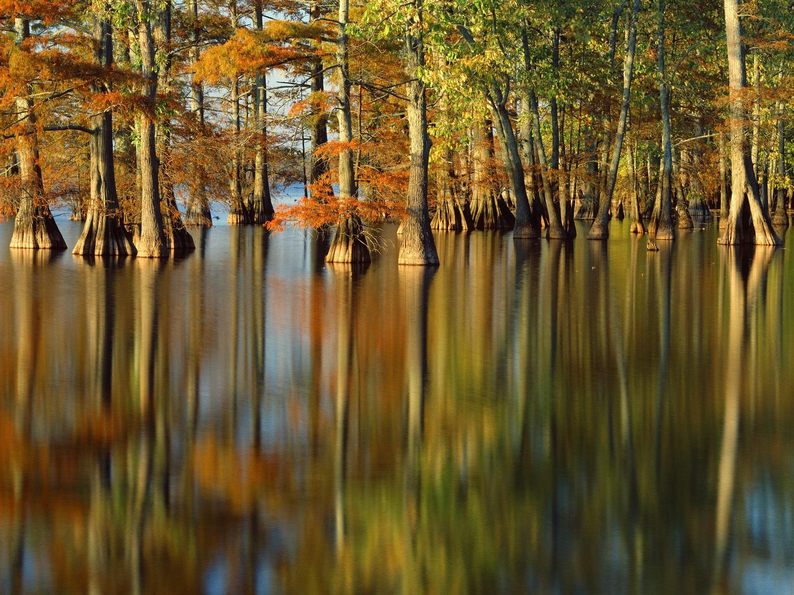 Serene Reflections: Nature's HD Mirror