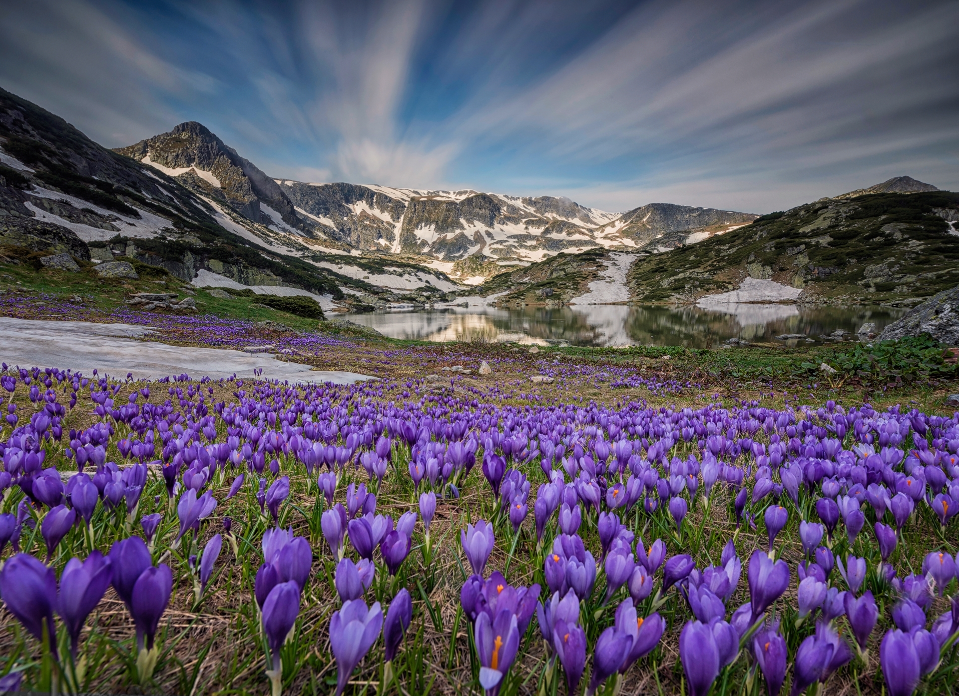 Download Mountain Lake Purple Flower Flower Nature Crocus HD Wallpaper