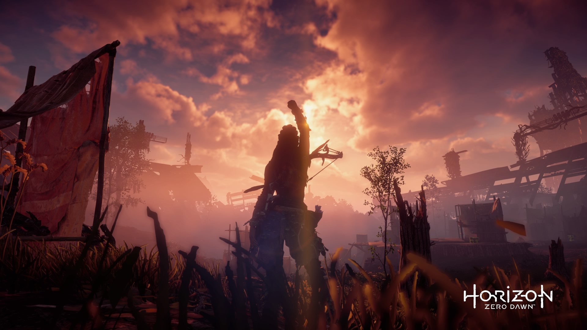 Download Aloy (Horizon Series) Video Game Horizon Zero Dawn HD Wallpaper