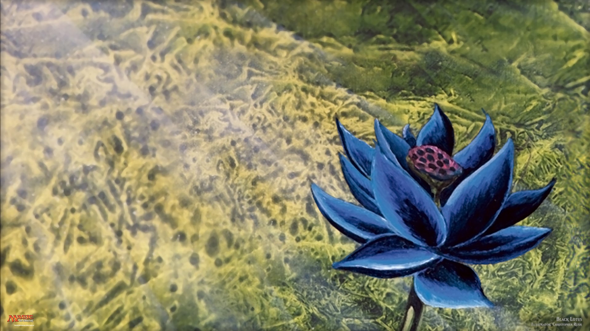 Download Lotus Man Made Magic: The Gathering HD Wallpaper | 1920x1080 ...