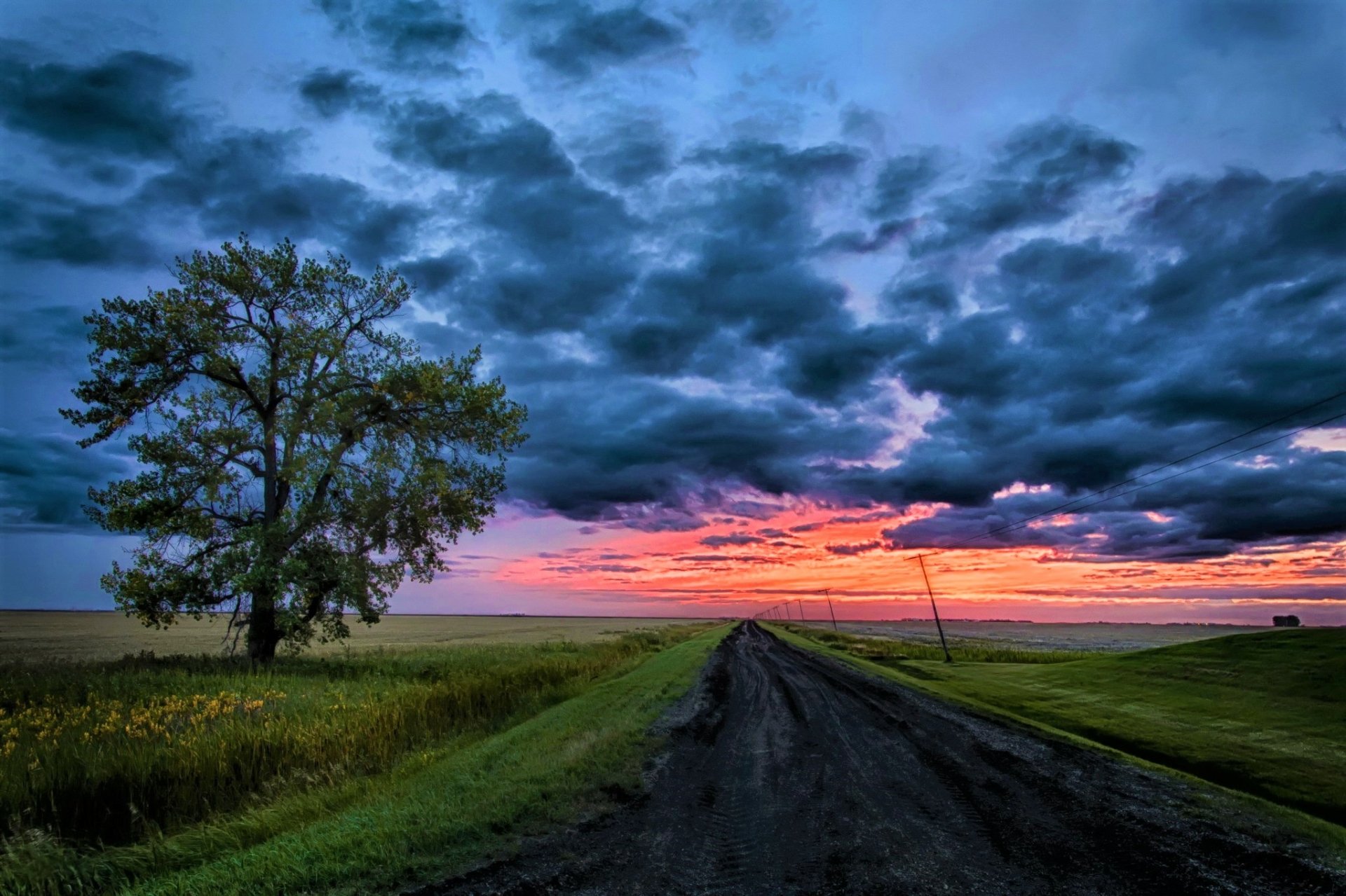 Rods In Sunset Wallpaper