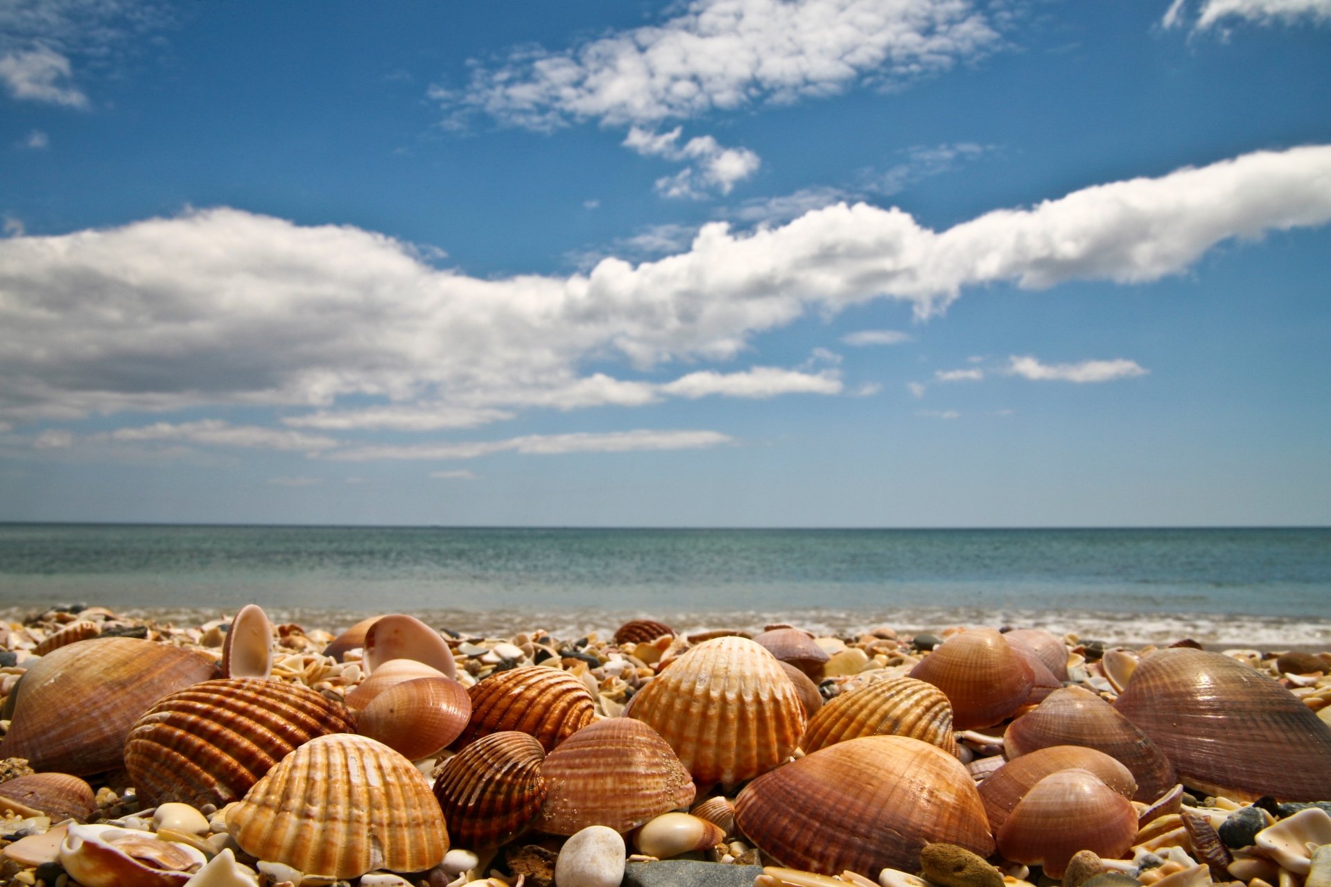 Seashell Horizon: 4K Ultra HD Ocean Clouds and Nature Wallpaper