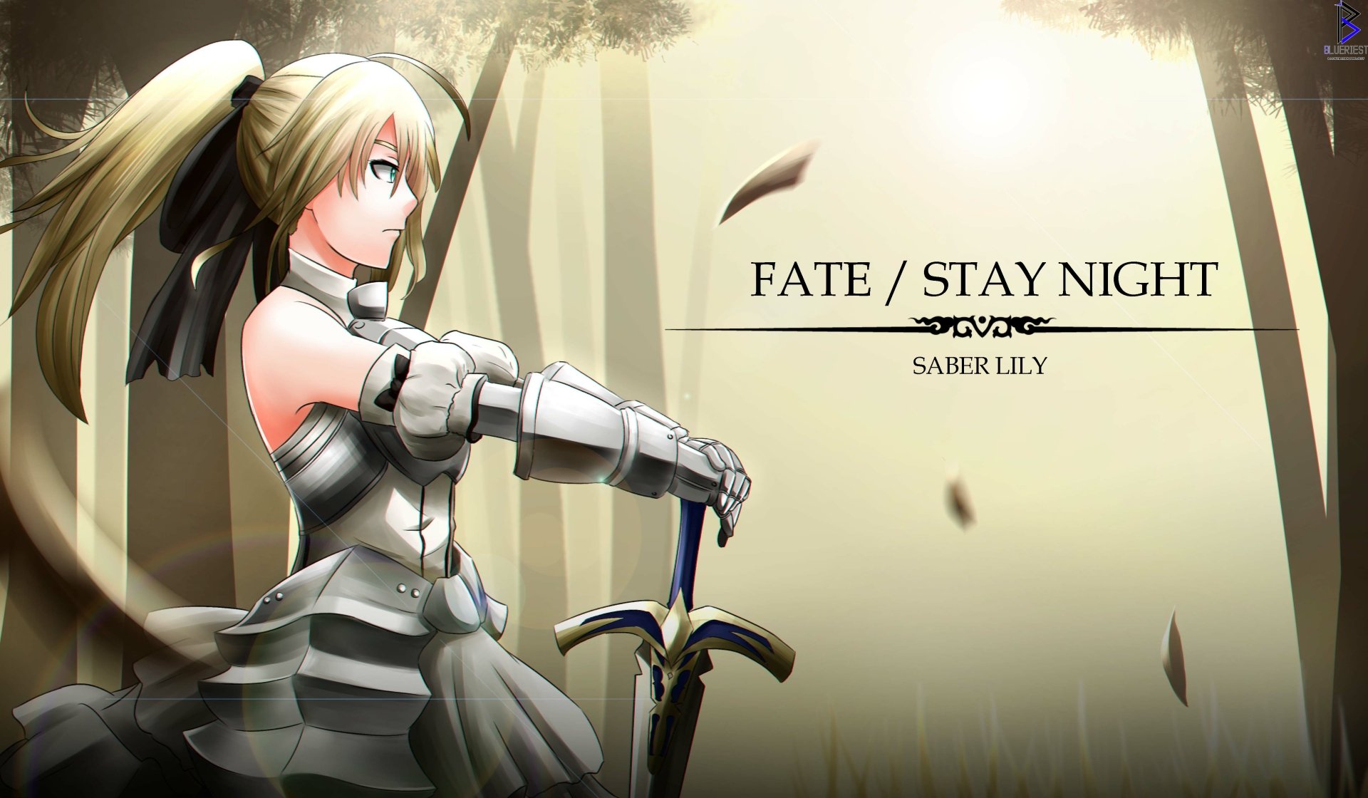 Download Saber (Fate Series) Anime Fate/unlimited Codes 4k Ultra HD ...