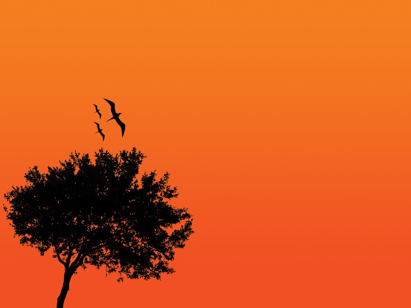 Orange Colour Tree Wallpaper