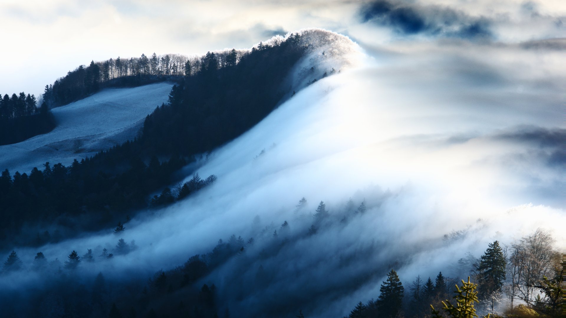 8K Ultra HD Mountain Majesty: Nature’s Cloud Embrace