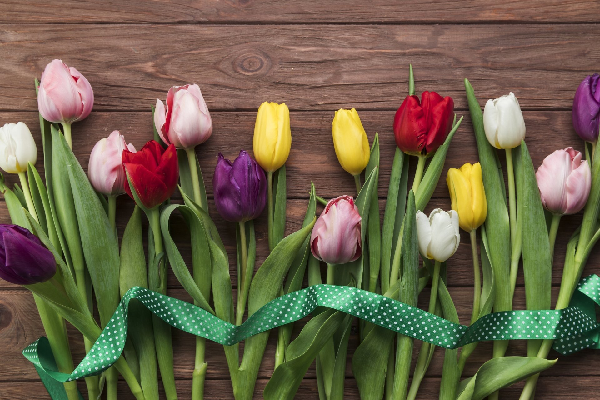 Download Still Life Tulip Man Made Flower 4k Ultra HD Wallpaper