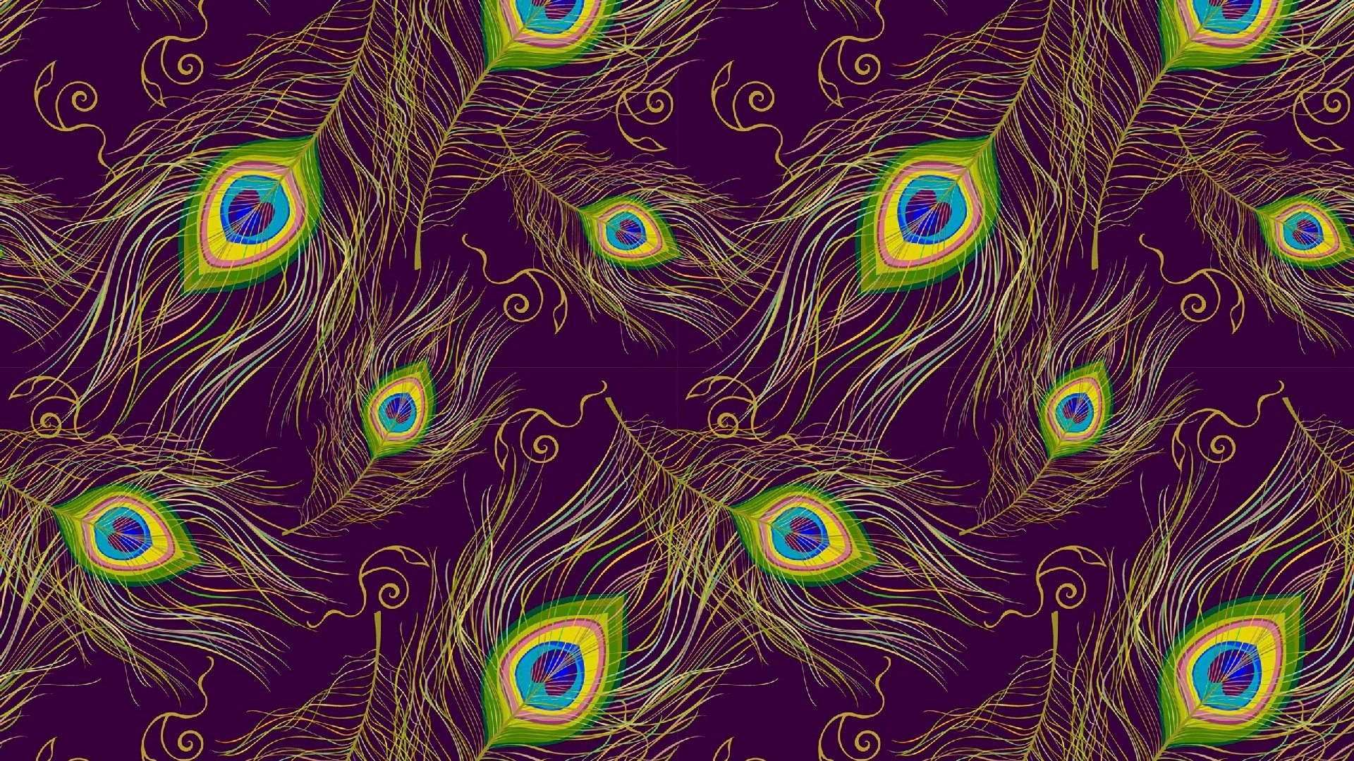 Download Peacock Artistic Feather HD Wallpaper